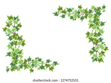 12,407 Ivy graphics Images, Stock Photos & Vectors | Shutterstock
