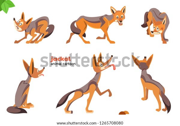 Jackal Cartoon Character Vector Illustration Set Stock Vector (Royalty ...
