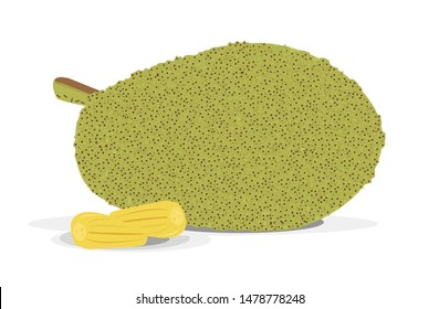 10 Kathal Stock Illustrations, Images & Vectors | Shutterstock