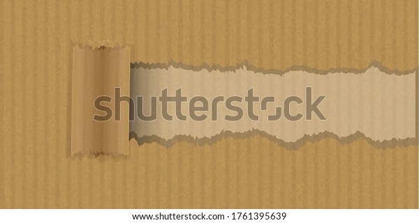 Jagged Teared Cardboard Vector Illustration Stock Vector (Royalty Free ...