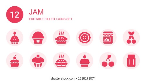 Jam Icon Set Collection 12 Filled Stock Vector (Royalty Free ...