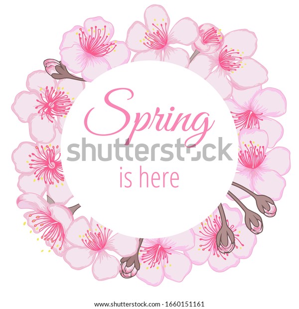 Japanese Sakura Circle Spring Frame Pink Stock Vector (Royalty Free ...