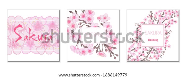Japanese Sakura Spring Template Collection Cherry Stock Vector (Royalty ...