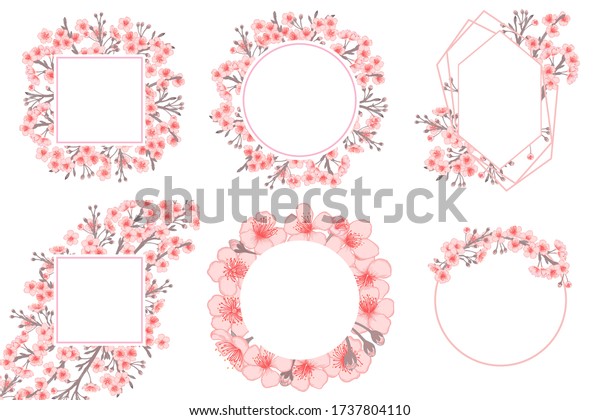 Japanese Sakura Spring Template Collection Cherry Stock Vector (Royalty ...