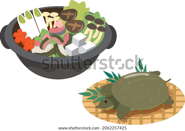 Japanese Turtle Softshelled Turtle Edible Highclass Stock Vector ...