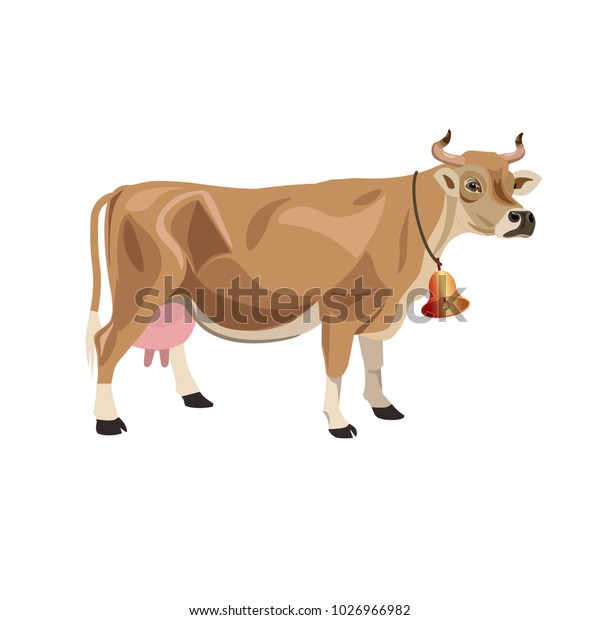 Jersey Cow Isolated Vector Illustration Isolated: เวกเตอร์สต็อก (ปลอด ...