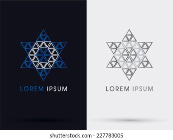 Jewish Star Israel Vector Stock Vector (Royalty Free) 227783005 ...