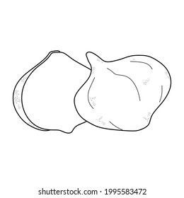 Jicama Stock Vectors, Images & Vector Art | Shutterstock