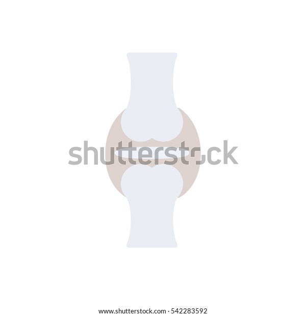 Joint Flat Icon Fibroplate Stock Vector (Royalty Free) 542283592 ...