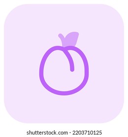 Juicy Peach Fruit Non Fuzzy Texture Stock Vector (Royalty Free ...