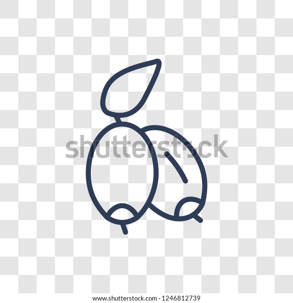 Jujube Icon Trendy Linear Jujube Logo Stock Vector (Royalty Free ...