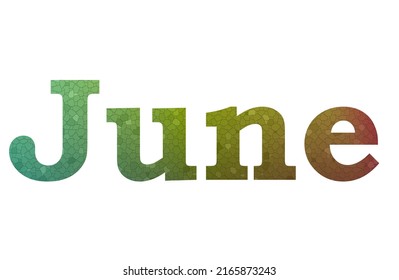 June Colorful Typography Text Banner Vector Stock Vector (Royalty Free ...