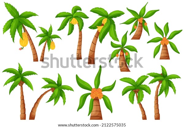 510 Palmier Tree Images, Stock Photos & Vectors | Shutterstock