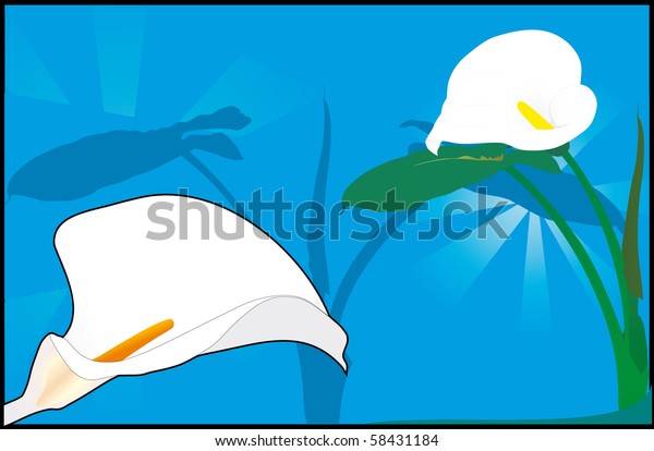 Kala Flower Bannercard Stock Vector (Royalty Free) 58431184 | Shutterstock