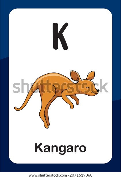 Kangaroo Animals Alphabet Flash Card Education Stock Vector (Royalty ...