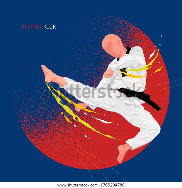 Karate Taekwondo Flying Kick Vector Stock Vector (Royalty Free ...