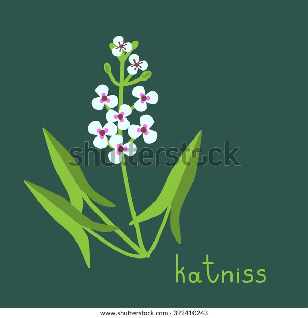 Katniss Plant Vector Simple Icon Stock Vector (Royalty Free) 392410243 ...
