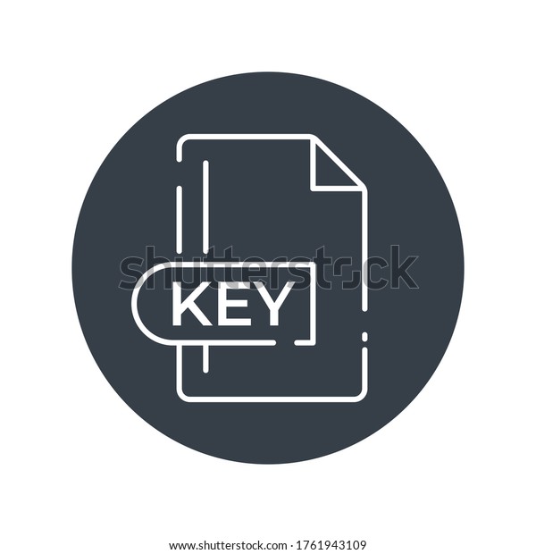 Key File Format Icon Key Extension Stock Vector (Royalty Free ...