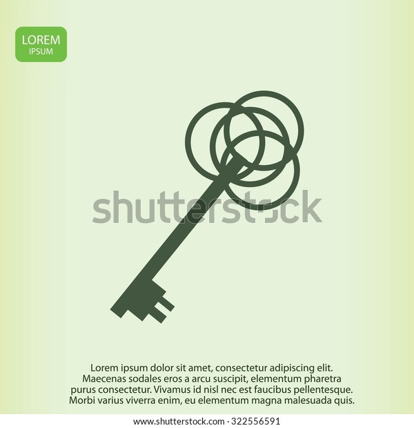 Key Sign Icon Stock Vector (Royalty Free) 322556591 | Shutterstock