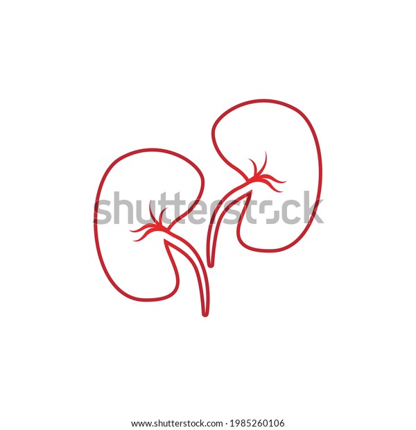 Kidney Care Icon Symbol Vector Illustration Stock Vector (Royalty Free ...