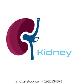Kidney Care Vector Illustration Design Logo Stock Vector (Royalty Free ...