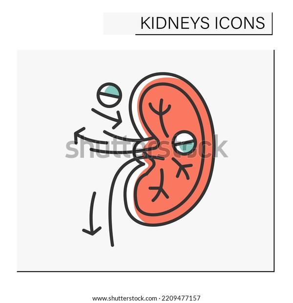 Kidney Color Icon Kidney Filter Excess Stock Vector (Royalty Free ...