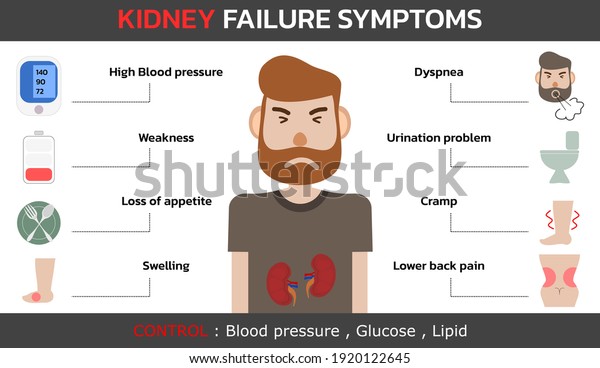 Kidney Failure Symptoms Vector Illustration Stock Vector (Royalty Free ...
