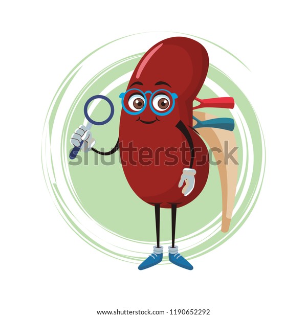 Kidney Funny Cartoon Stock Vector (Royalty Free) 1190652292