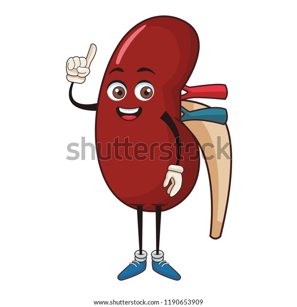 Kidney Funny Cartoon Stock Vector (Royalty Free) 1190653909 | Shutterstock