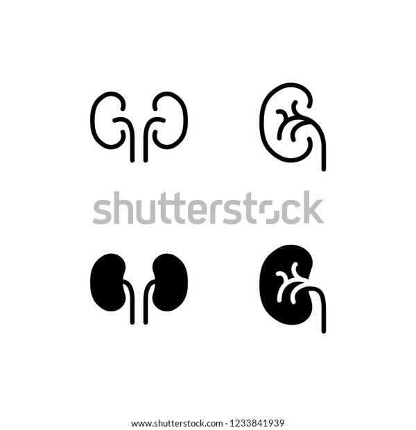 Kidney Icon Logo Vector Symbol Renal Stock Vector (Royalty Free ...