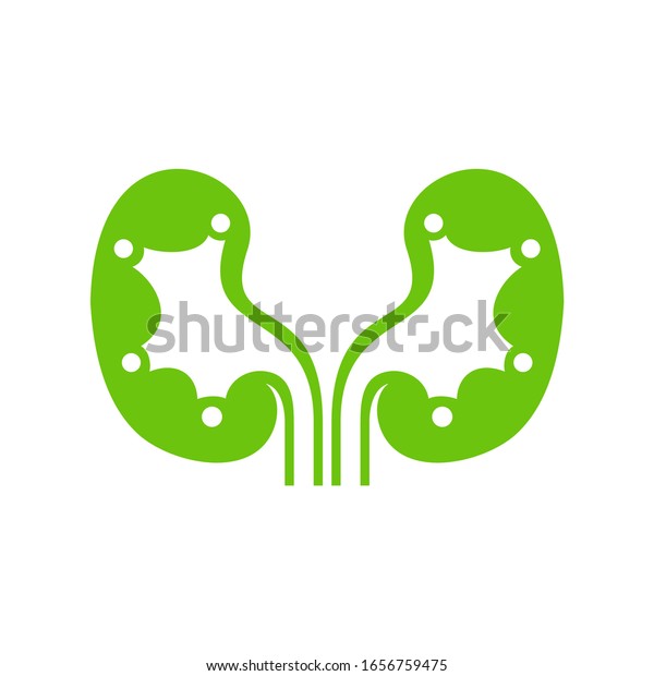 Kidney Logo Design Inspiration Template Vector Stock Vector (Royalty ...