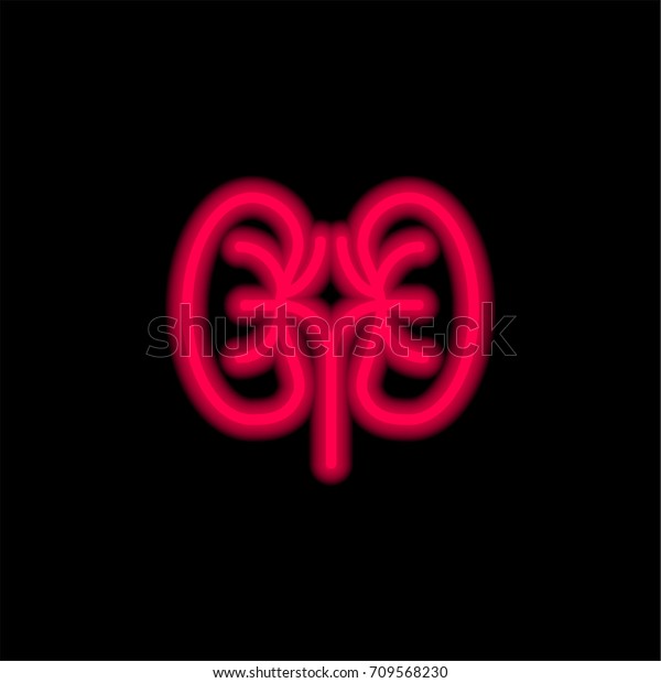 Kidney Red Glowing Neon Ui Ux Stock Vector (Royalty Free) 709568230 ...