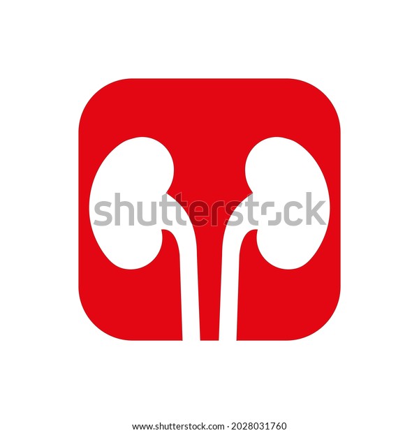 Kidney Urinary Logo Kidneys Red Background Stock Vector (Royalty Free ...