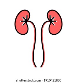Urinary System Graphic Icon Human Organs Stock Vector (Royalty Free) 1384448963
