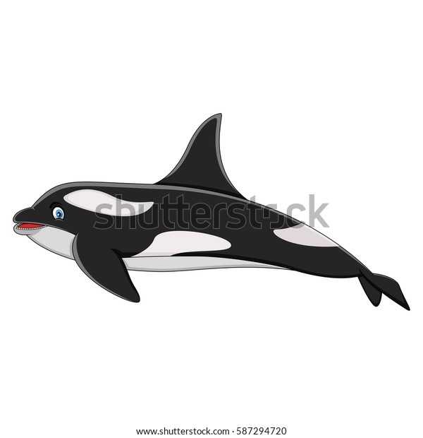 Killer Whale Cartoon Vector Illustration Stock Vector (Royalty Free ...