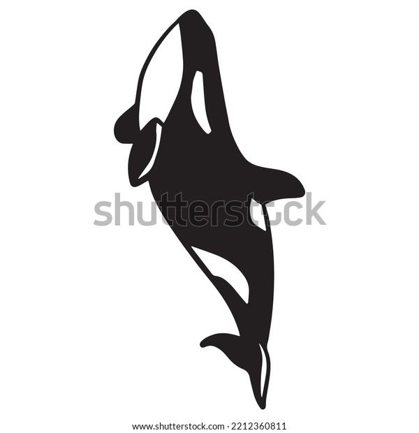 Killer Whale Graphic Design Vector Illustration Stock Vector (Royalty ...