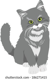 9,059 imágenes de Gato de angora - Imágenes, fotos y vectores de stock ...