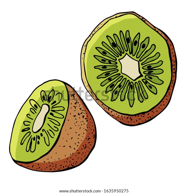 Kiwi Whole Cut Vector Cartoon Illustration Stock Vector (Royalty Free ...