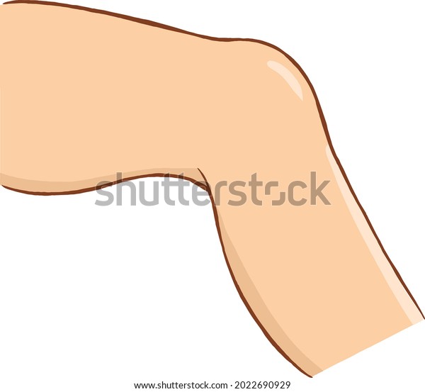 Knee Vector Illustration Perfect Learning Media Stock Vector (Royalty ...