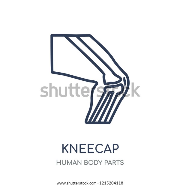 Kneecap Icon Kneecap Linear Symbol Design Stock Vector (Royalty Free ...