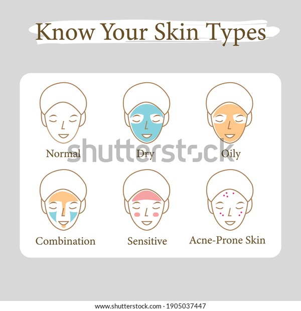 Know Your Skin Types Illustration Stock Vector (Royalty Free ...