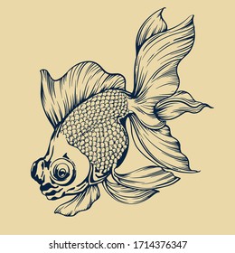 Koki Golden Fish Vector Illustration Stock Vector (Royalty Free ...