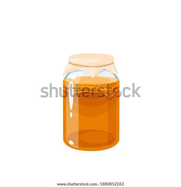 Kombucha Fermented Tea Glass Jar Vector Stock Vector (Royalty Free ...