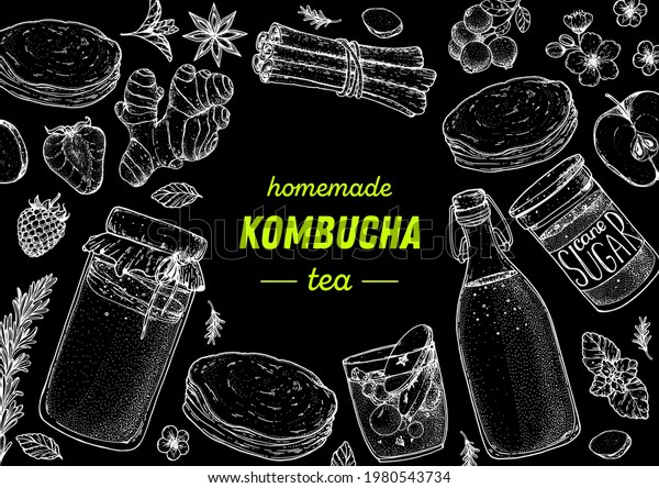 Kombucha Tea Ingredients Kombucha Sketch Hand Stock Vector (Royalty ...