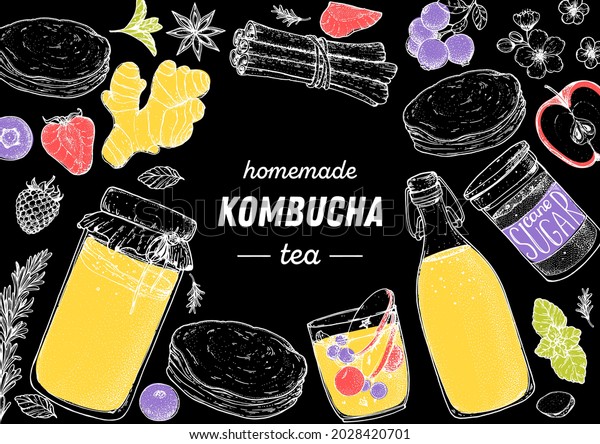 Kombucha Tea Ingredients Kombucha Sketch Hand Stock Vector (Royalty ...
