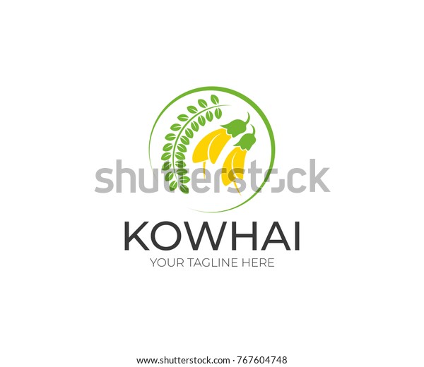 Kowhai Logo Template Floral Vector Design Stock Vector (Royalty Free ...