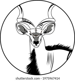 714 Kudu horns vector Images, Stock Photos & Vectors | Shutterstock