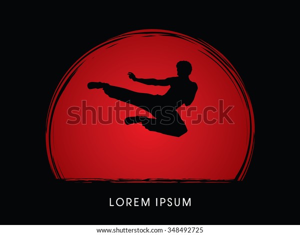 Kung Fu Karate Jump Kick Designed Stock Vector (Royalty Free) 348492725 ...