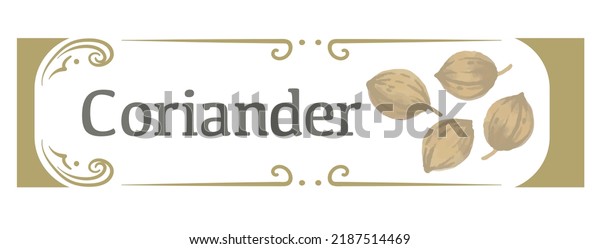Label Icon Coriander Watercolor Vector Illustration Stock Vector ...