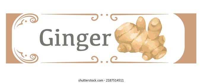 Label Icon Ginger Watercolor Vector Illustration Stock Vector (Royalty ...